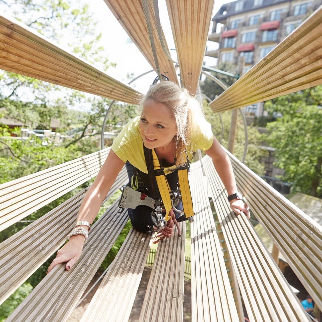 Forest Jump High Ropes - Celtic Manor Resort