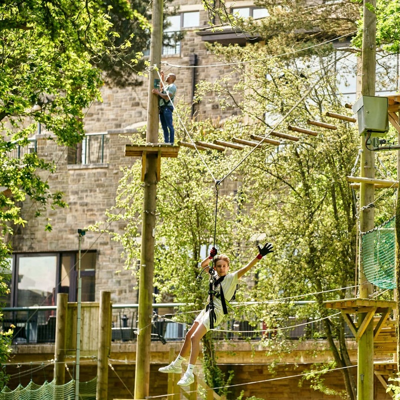 Forest Jump High Ropes | Activities | Celtic Manor Resort