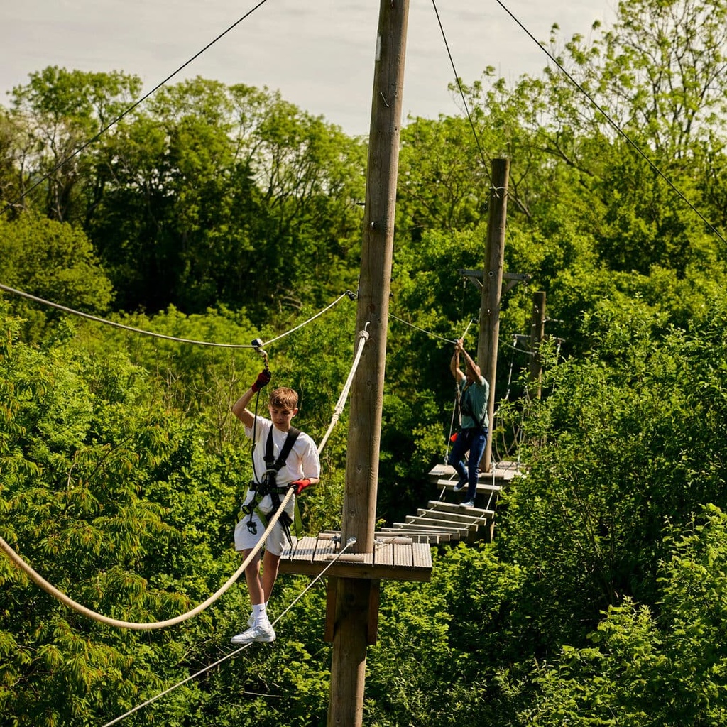 Forest Jump High Ropes - Celtic Manor Resort
