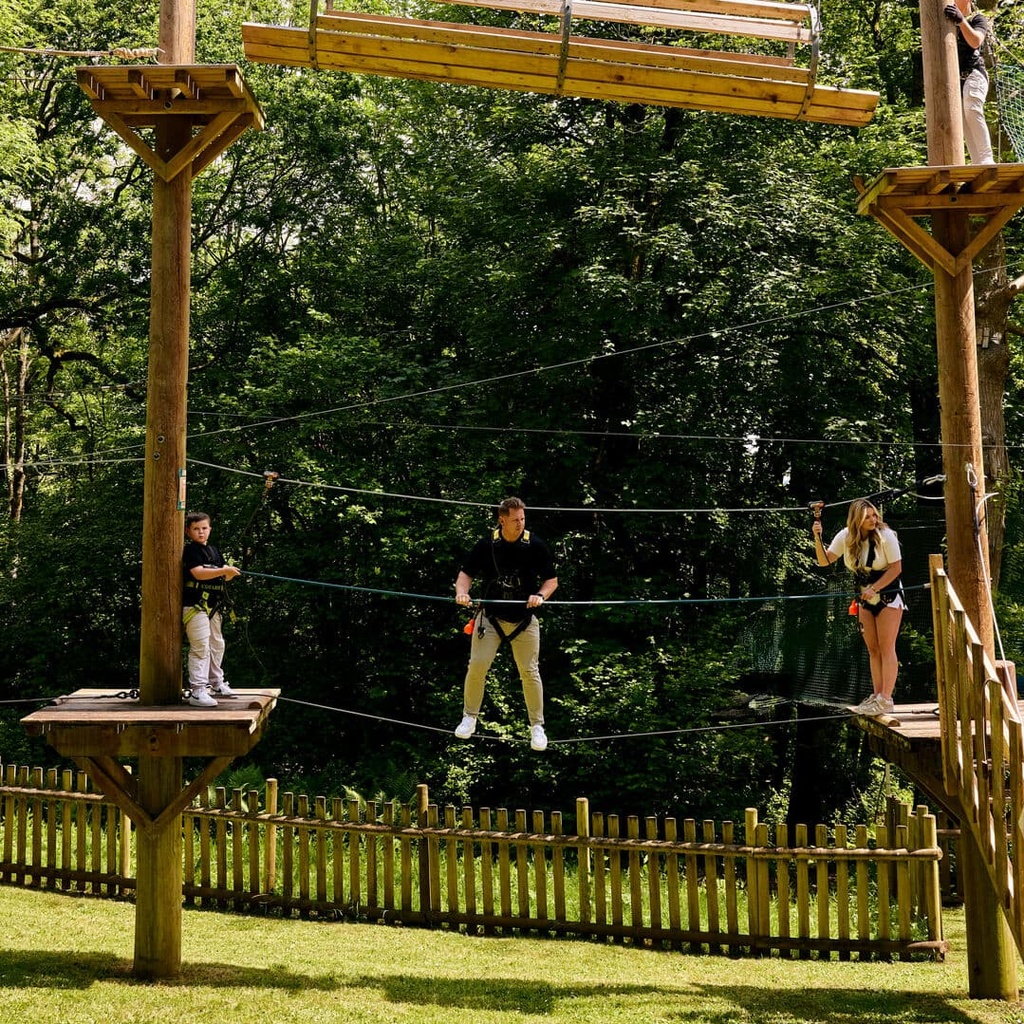 Forest Jump Low Ropes - Activities - Celtic Manor Resort
