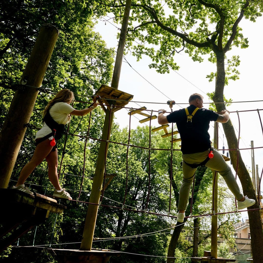 Forest Jump Low Ropes - Activities - Celtic Manor Resort