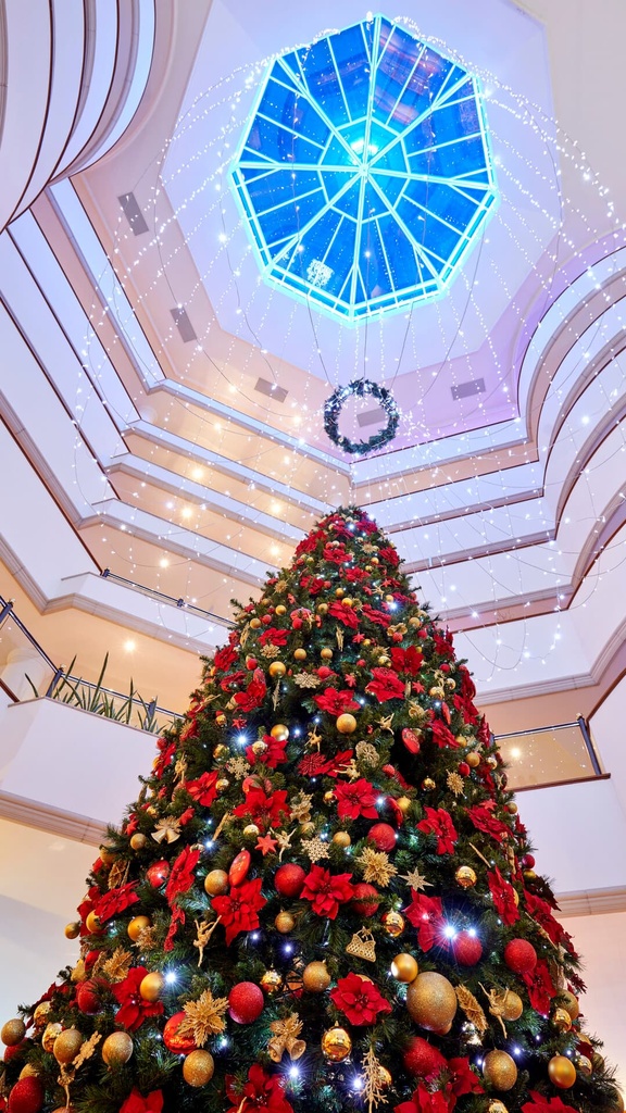 Festive Stays - Christmas at Celtic Manor Resort