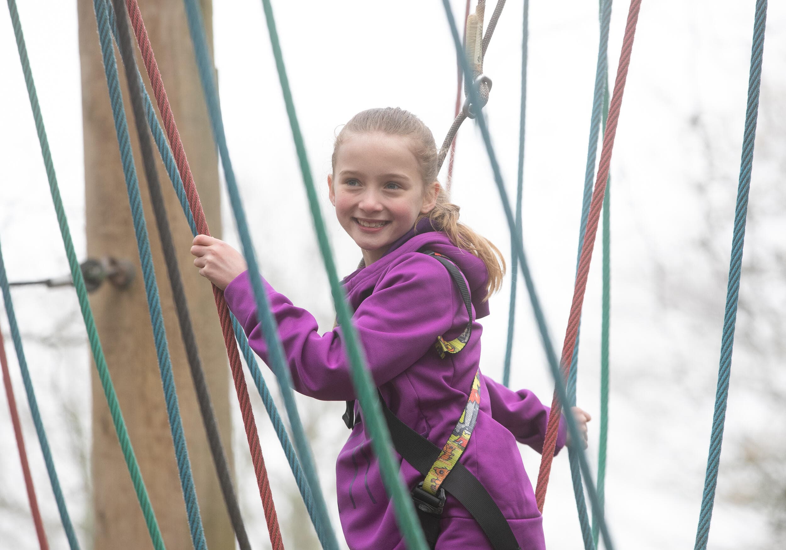 Forest Jump Low Ropes - Celtic Manor Resort