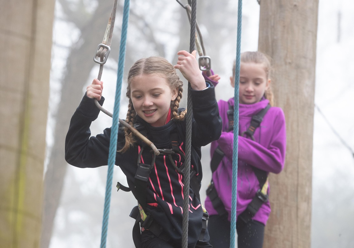 Forest Jump Low Ropes - Celtic Manor Resort